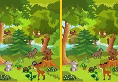 Find The Difference Jungle Friends - Differences Games
