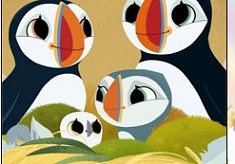 Puffin Rock Games - Games For Kids