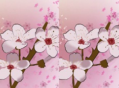 Spring Flowers Differences - Differences Games