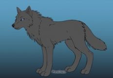 Wyndbain Wolf Maker - Animal Games